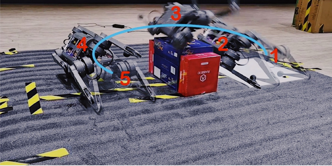 Quadruped jumping with optimal control | Linzhu Yue